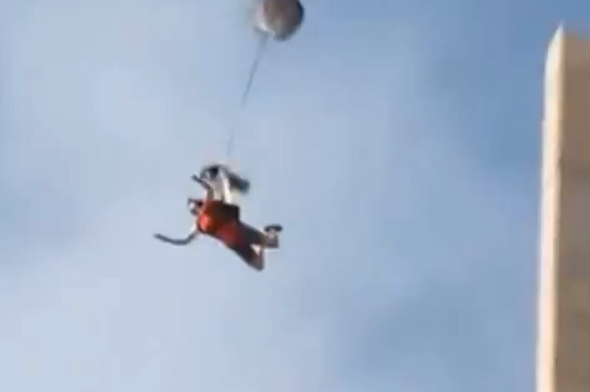 Woman Miraculously Comes Away from BASE Jump Fail Unharmed | News, Scores, Highlights, Stats ...
