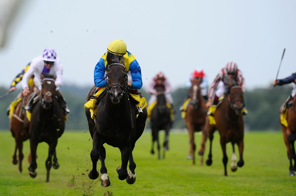 King George Stakes 2013: Horses That Were Most Impressive in Epic Race ...