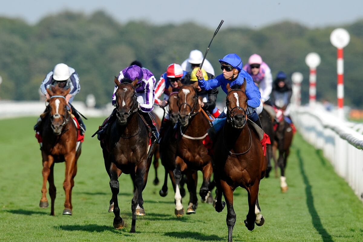 St Leger Meeting 2013: Preview and Predictions for Race at Doncaster ...