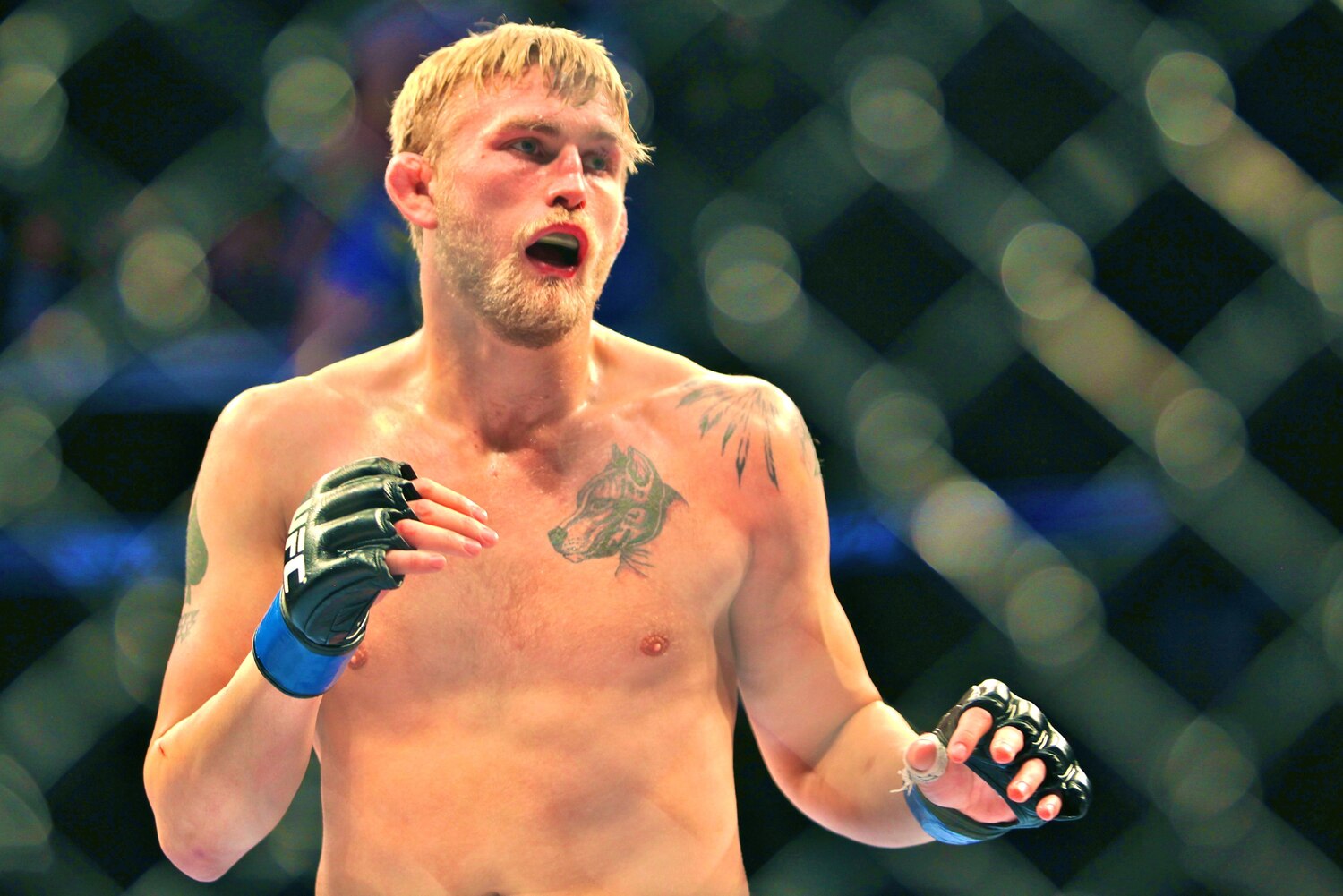 UFC 165: What Does Alexander Gustafsson Have for Jon Jones? | Bleacher ...