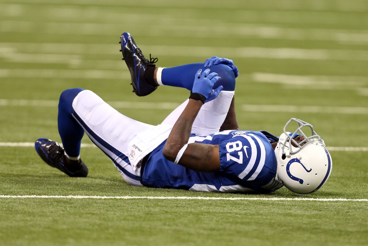 Reggie Wayne's Injury Won't Stop Colts from Building on Their Success ...