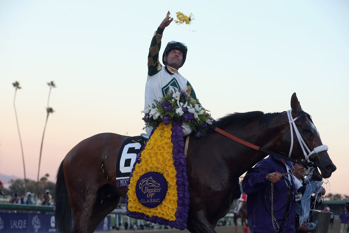 Breeders' Cup 2013 Prize Money: Purse Distribution for Mucho Macho Man ...