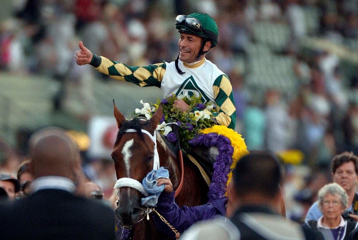 Breeders' Cup 2013 Winner: Mucho Macho Man Justifies Odds with Dominant ...
