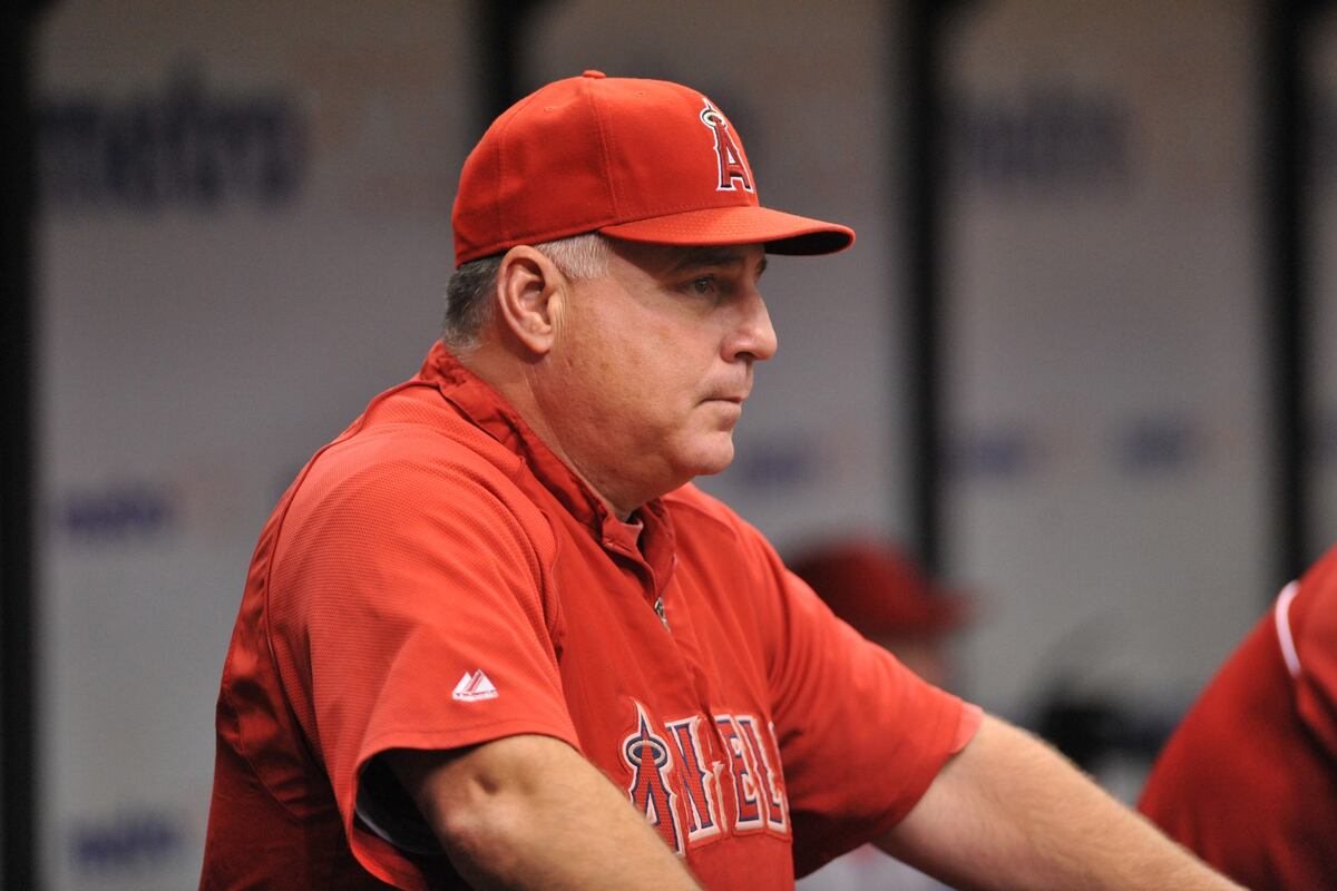 Los Angeles Angels: The Definitive Blueprint for a Successful Angels ...