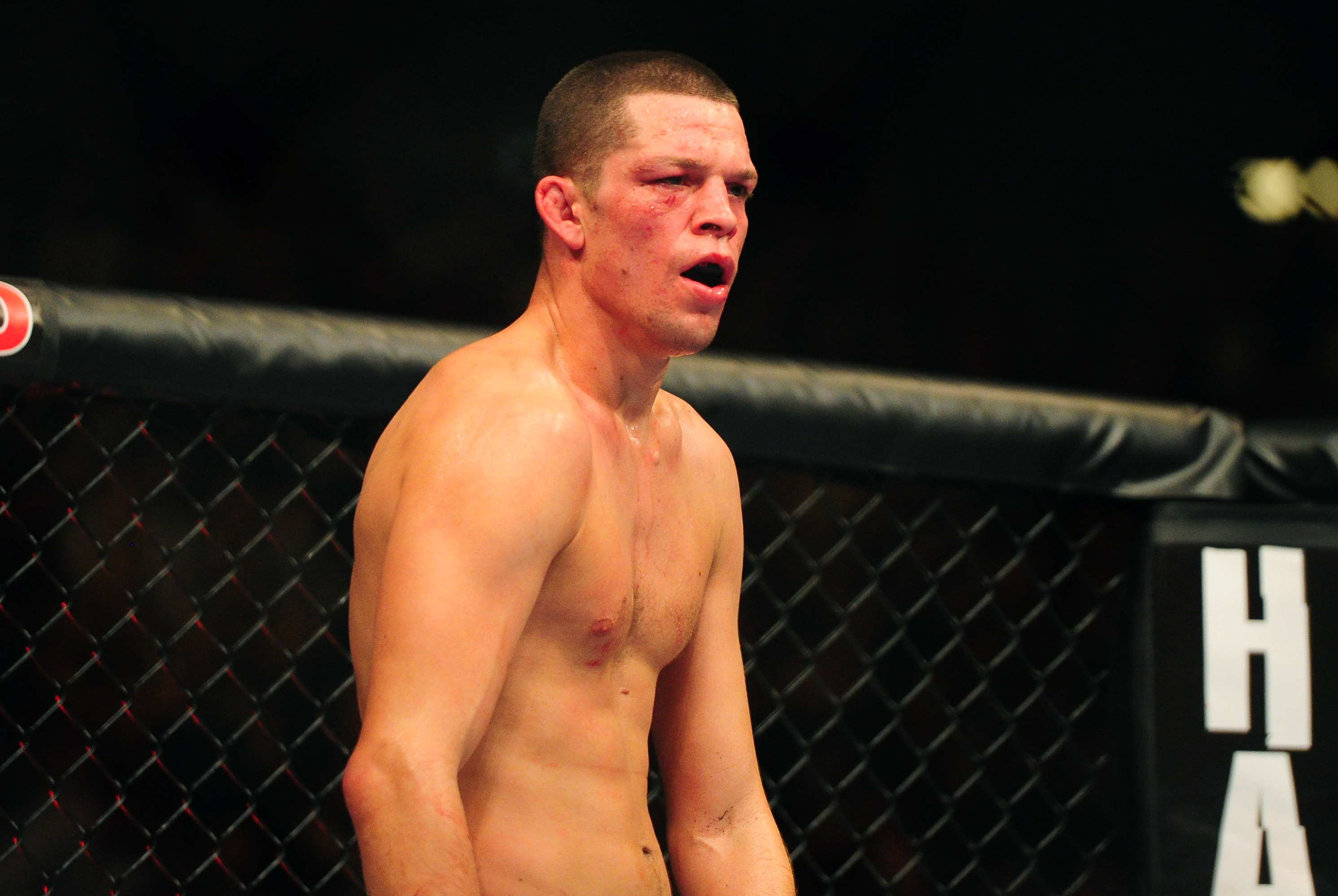 UFC 167 Results Burning Questions Heading To The Ultimate Fighter 18 UFC 167 Results Burning Questions Heading To The Ultimate Fighter 18