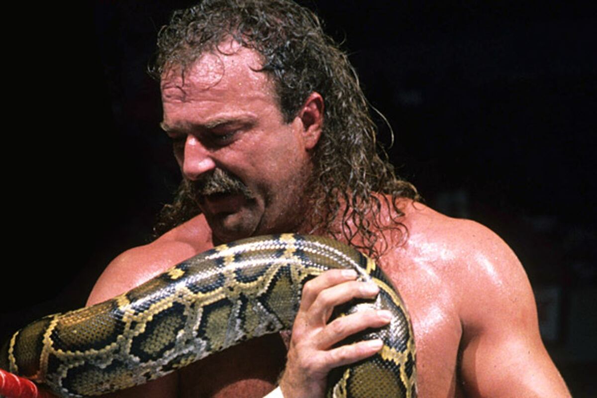 Jake the Snake to Be Inducted into 2014 WWE Hall of Fame Class ...