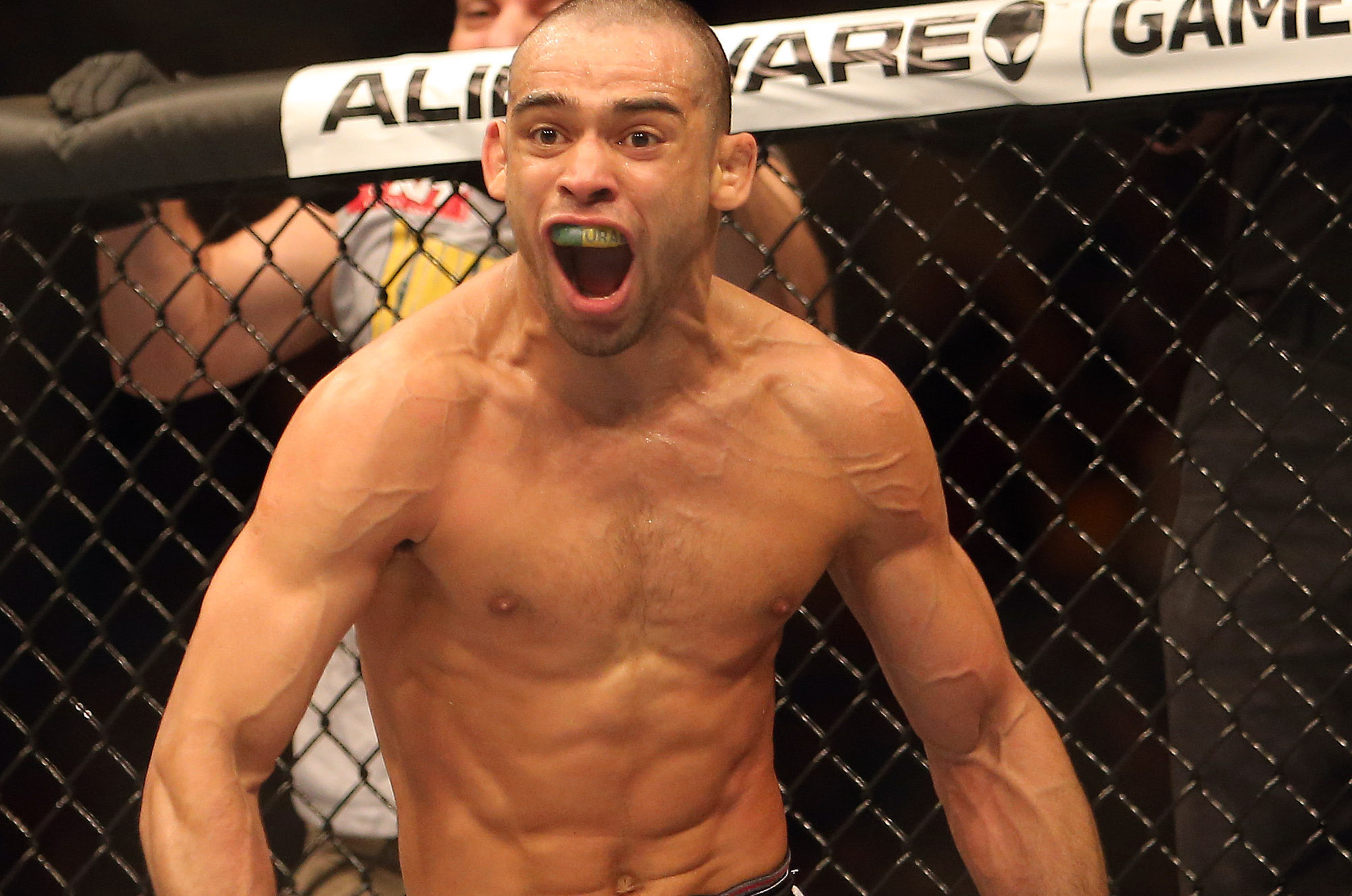 Barao vs. Faber 2 Odds: Final Betting Odds for the UFC 169 Main Event ...