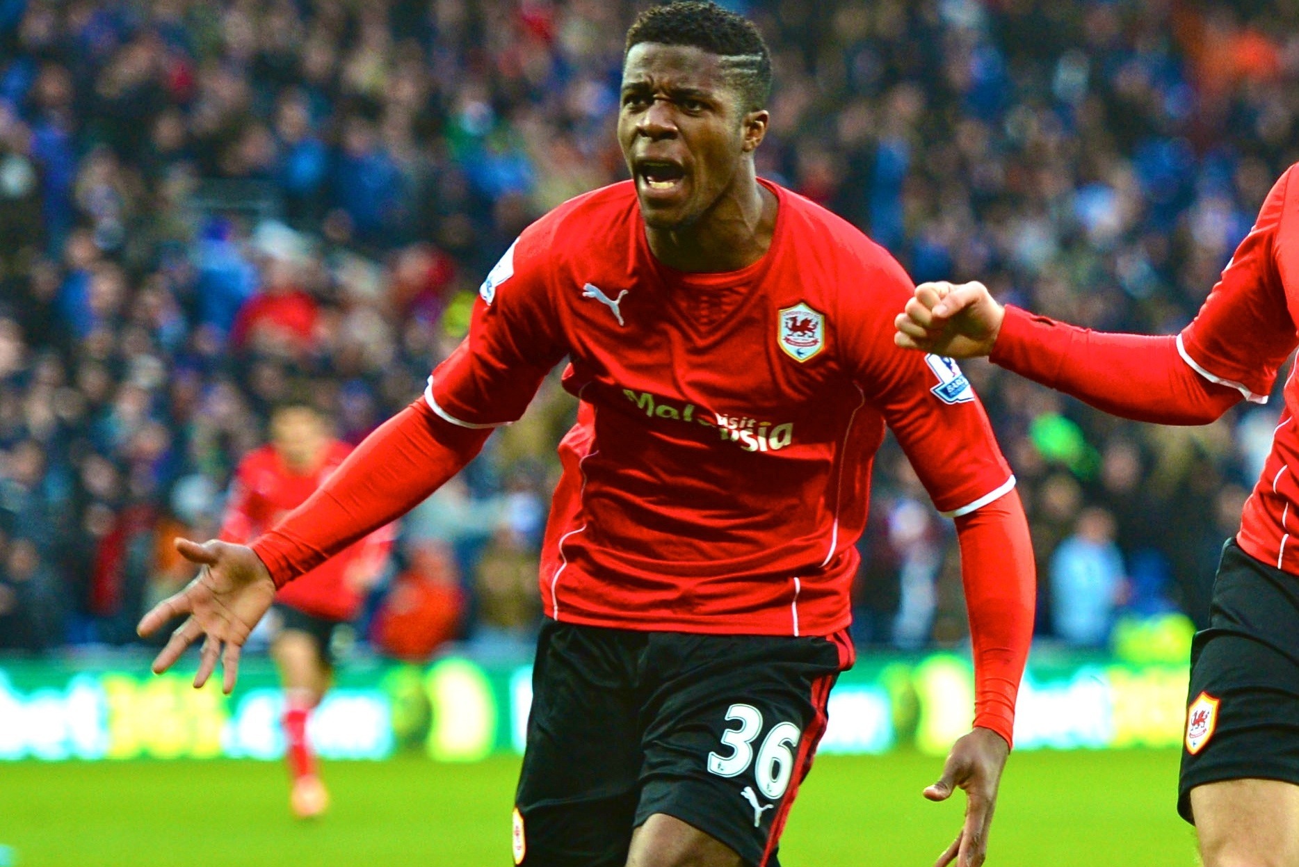 Impressive Debut Is Proof Wilfried Zaha Is Better off at Cardiff Than ...