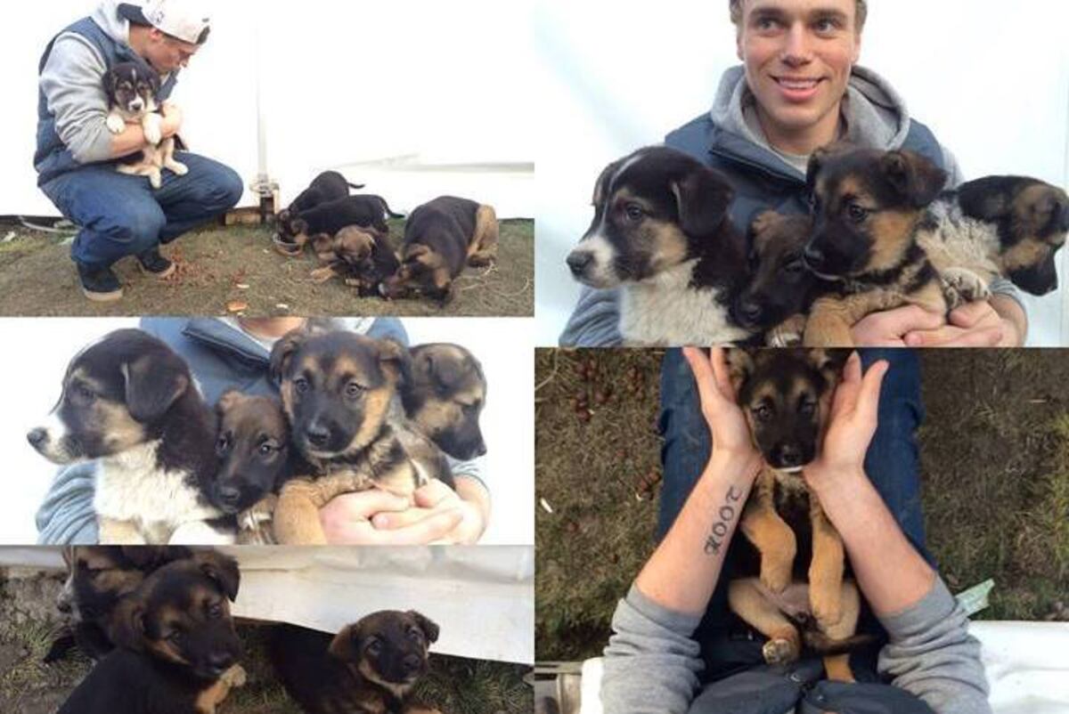 Olympian and Russian Billionaire Doing Their Part to Save Sochi Stray ...