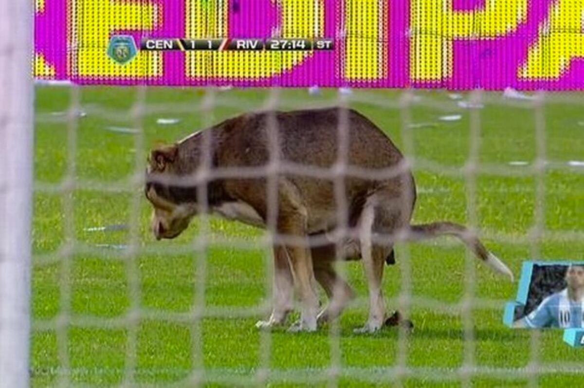 The 10 Craziest Pitch Invaders | News, Scores, Highlights, Stats, and ...