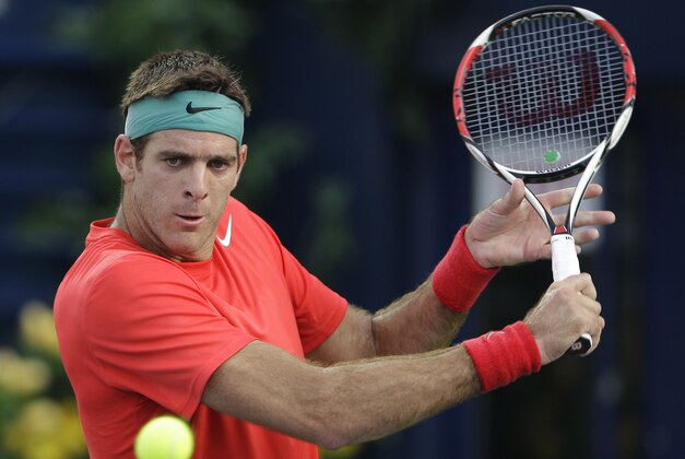 Juan Martin del Potro Injury: Updates on Tennis Star's Wrist and Recovery