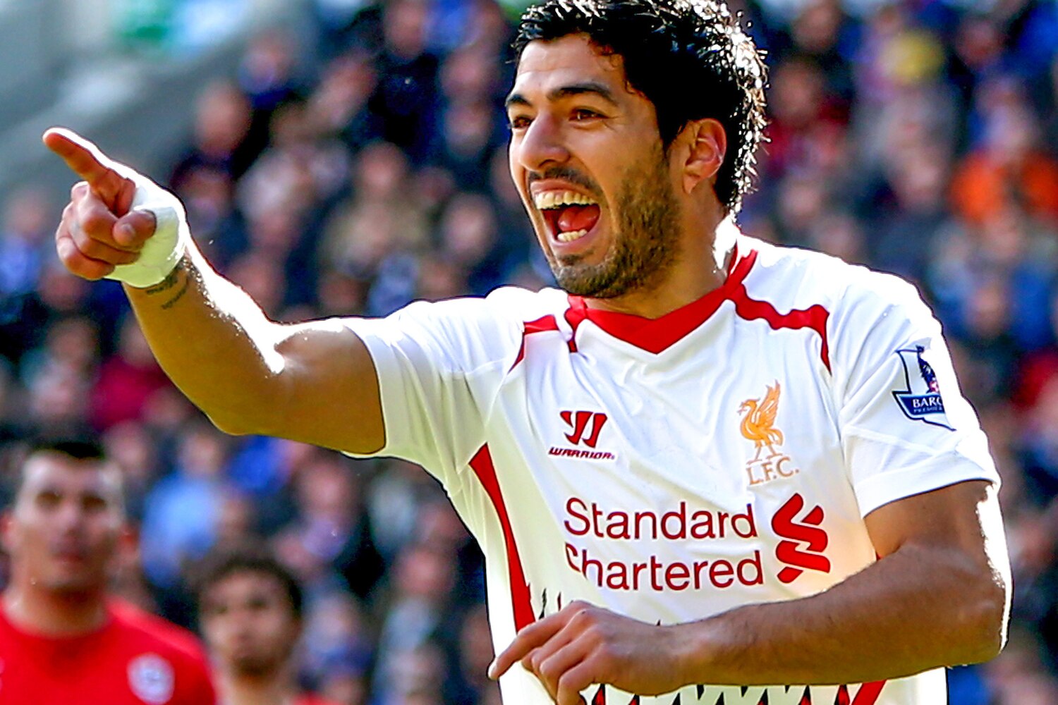 10 Little Known Facts About Liverpool's Luis Suarez | Bleacher Report