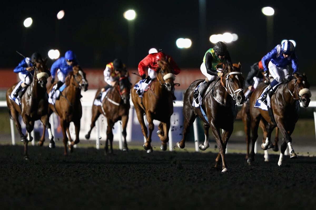 UAE Derby 2014: Post Time, Post Positions, Contenders Odds and Schedule ...