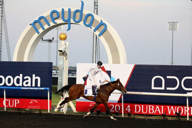 UAE Derby 2014 Results: Winner, Payouts and Order of Finish
