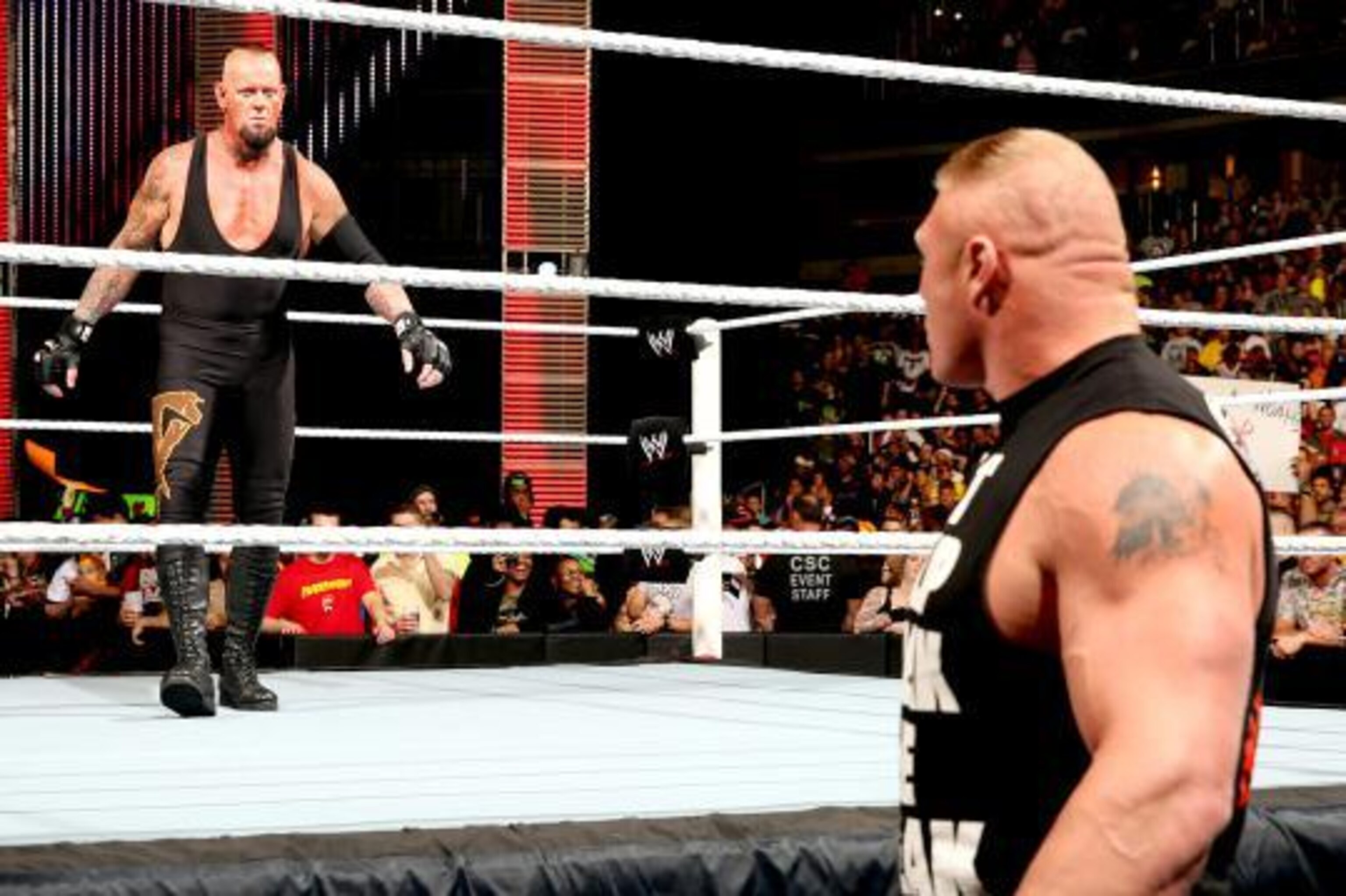 Mean Mark Callous Vs Sting