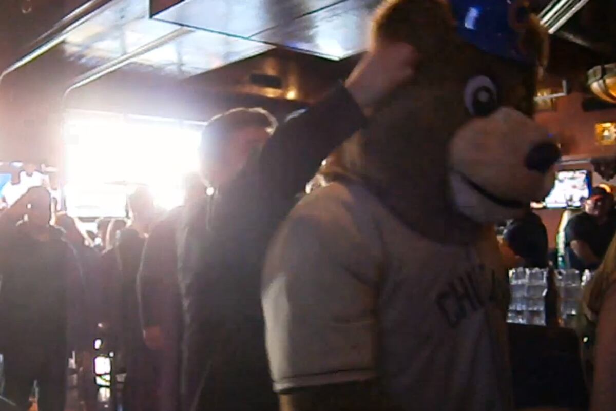 Unofficial Chicago Cubs Mascot Punches Guy In Bar After Having His Head Removed News Scores