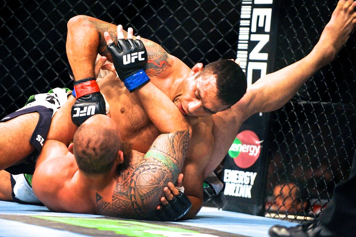 Fabricio Werdum's Transformation to Complete Fighter on Display Against ...