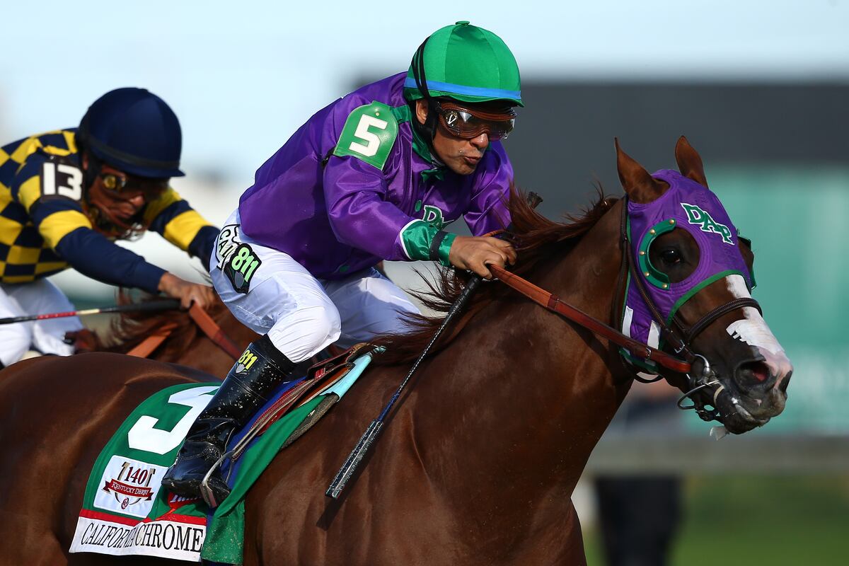 Preakness Field 2014: Pedigree Info and Predictions for Horses in ...