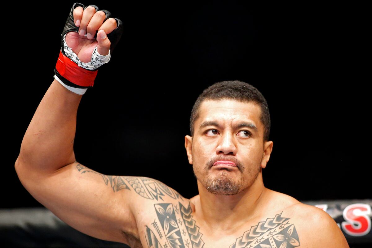 Soa Palelei vs. Jared Rosholt Added to UFC Fight Night 43 | News ...