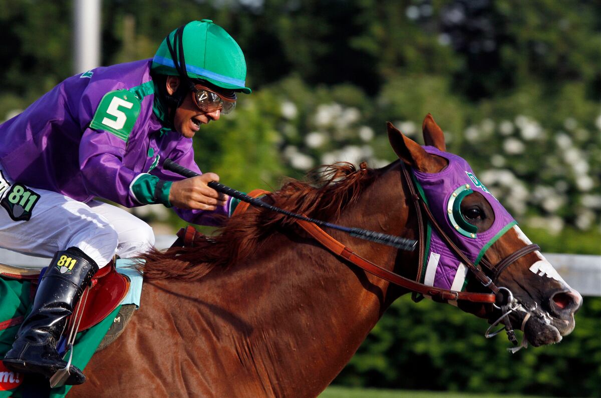 Preakness Entries 2014: Odds and Post Positions for Contenders and ...