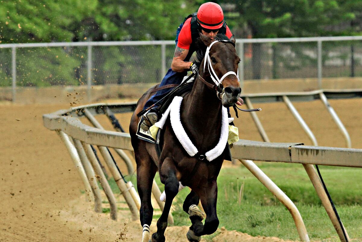 Preakness 2014 Lineup: Final Field Odds and Predictions for All Entries ...