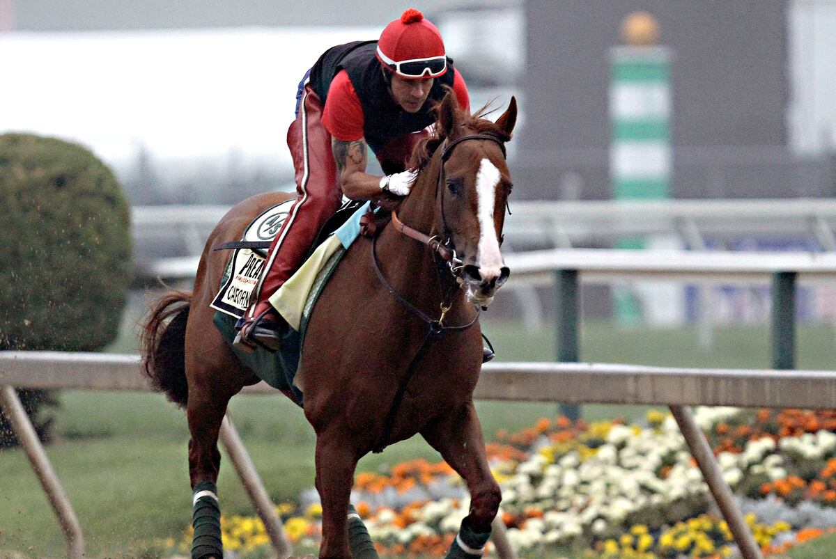 Preakness 2014 Lineup: Undercard and Main Race Picks for All Entries in ...