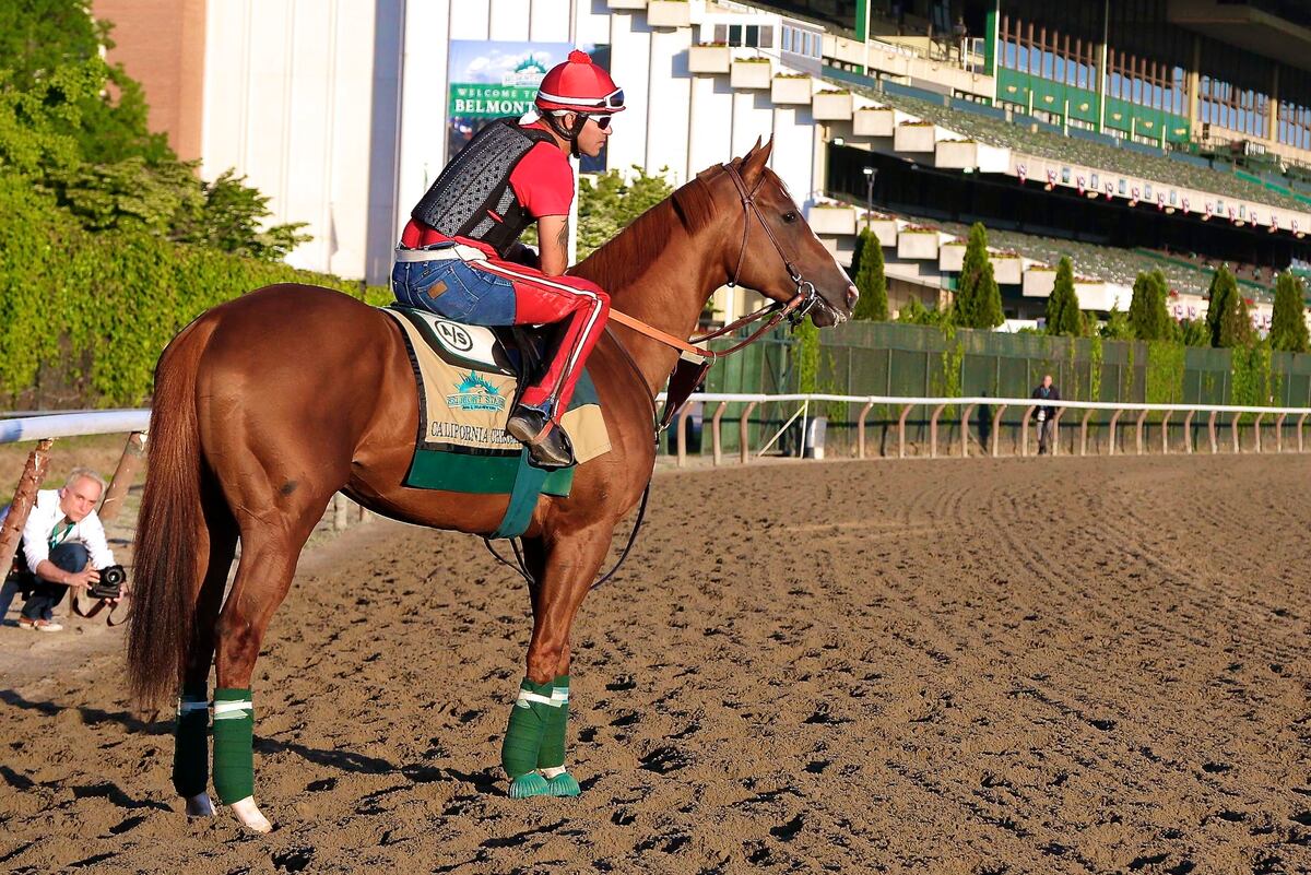 California Chrome Owners Sign Sponsorship Deal with Skechers | News ...