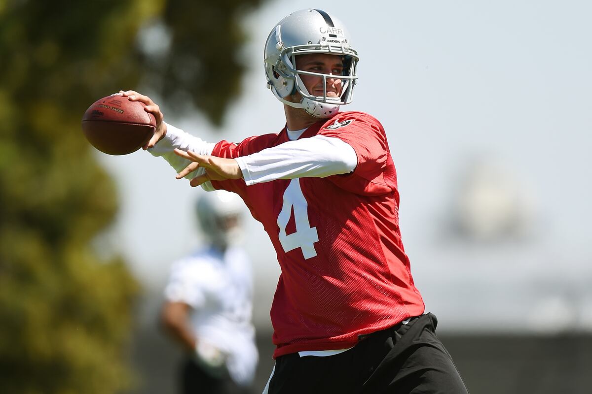 What the Oakland Raiders' New Additions Mean for 2014 | News, Scores ...