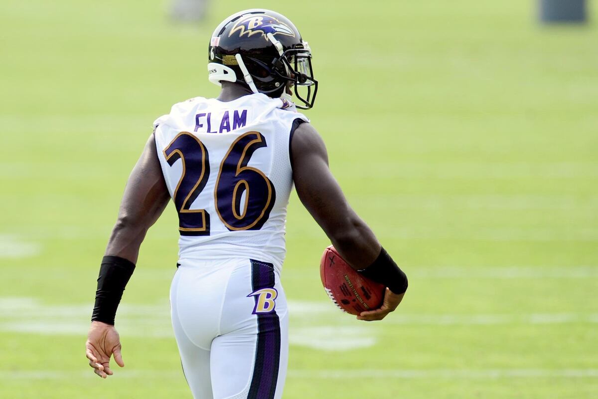 Ravens 2013 Draft Class Ready to Shine in 2nd Year | News, Scores ...