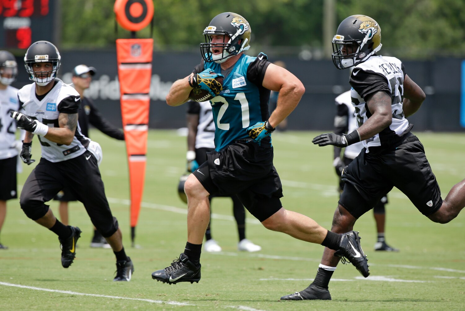 What Does the Jacksonville Jaguars Backfield Look Like Behind Toby ...