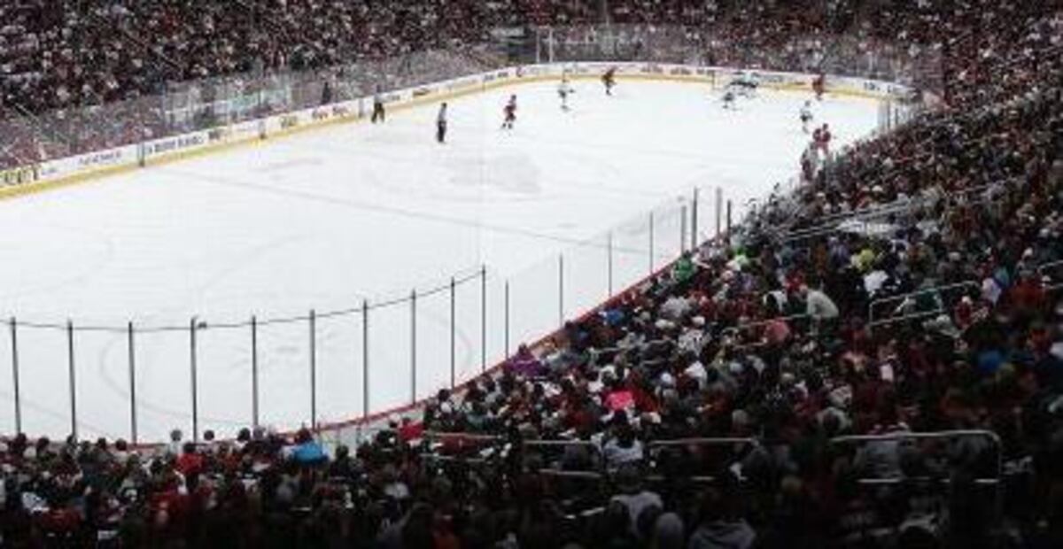 With New Naming Rights to Their Arena, Arizona Coyotes Make Economic ...