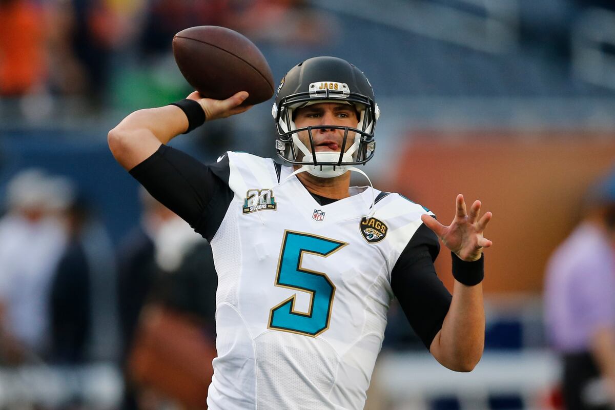 Jaguars vs. Bears: Score and Twitter Reaction from 2014 NFL Preseason ...