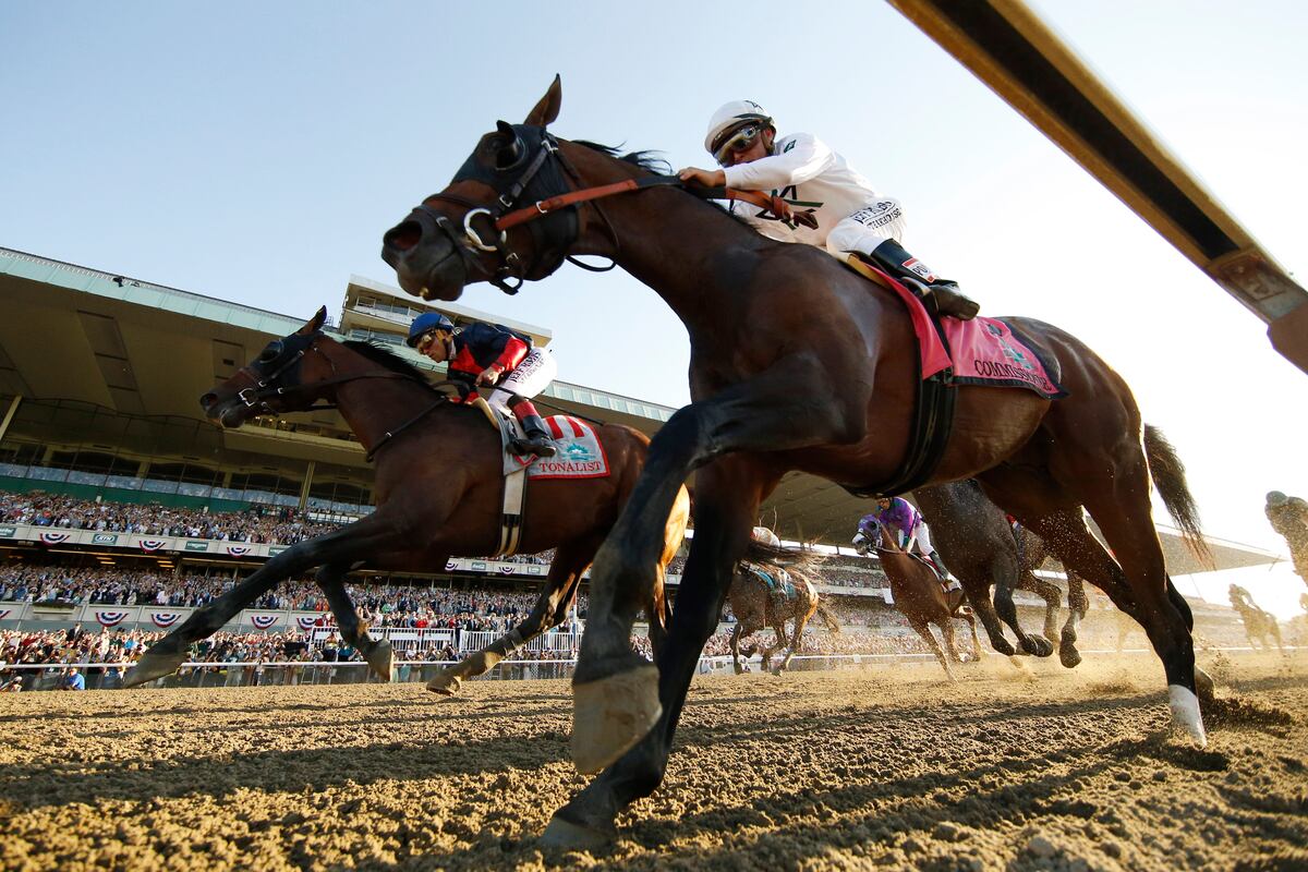 Travers 2014: Post Time, Post Positions, Contenders Odds and Schedule ...