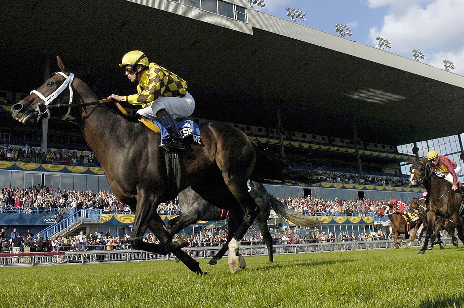 Ricoh Woodbine Mile Caps Off Jockey Club Tour on Fox | Bleacher Report