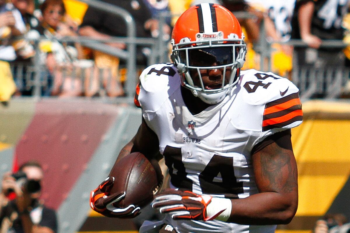 Ben Tate's Updated 2014 Fantasy Outlook Heading into Week 5 | News ...