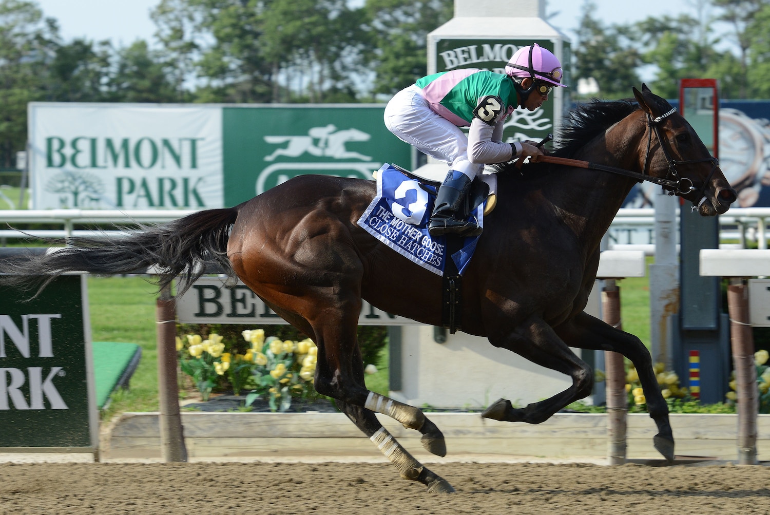 Close Hatches Preps for Breeders' Cup Distaff as Chalk in Spinster ...