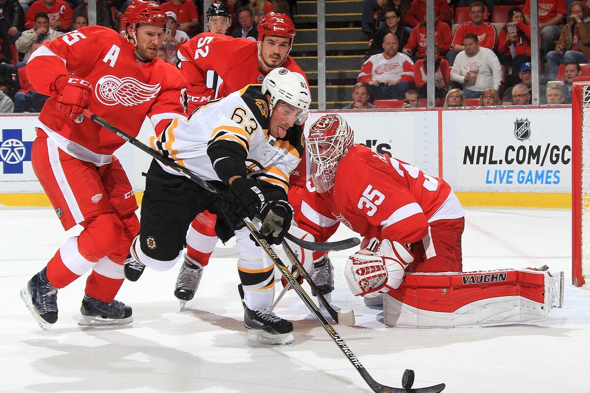 Jimmy Howard's Strong Start Promising for Detroit Red Wings Early in ...