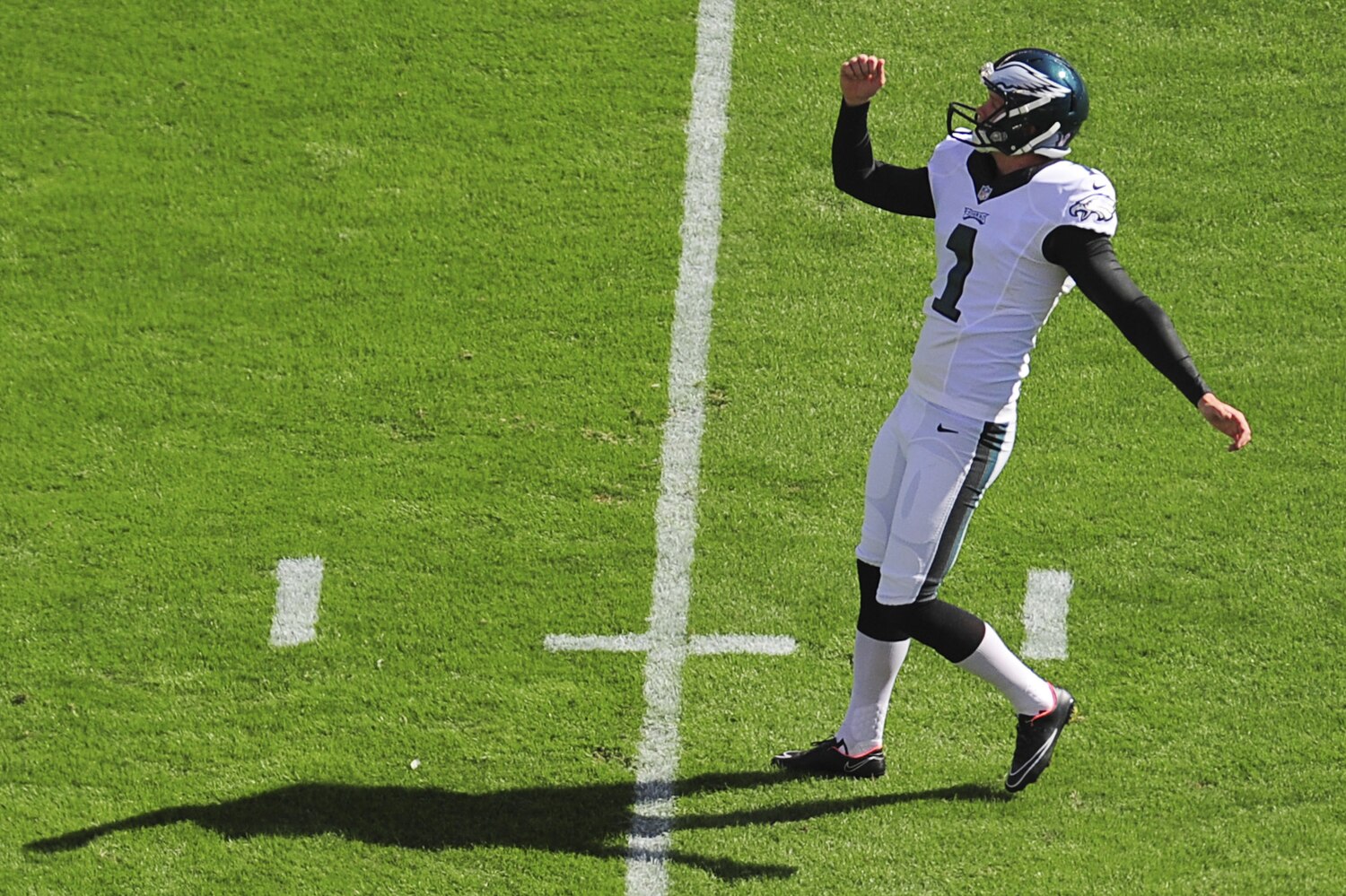 Cody Parkey Solidifying His Role as Philadelphia Eagles Kicker ...