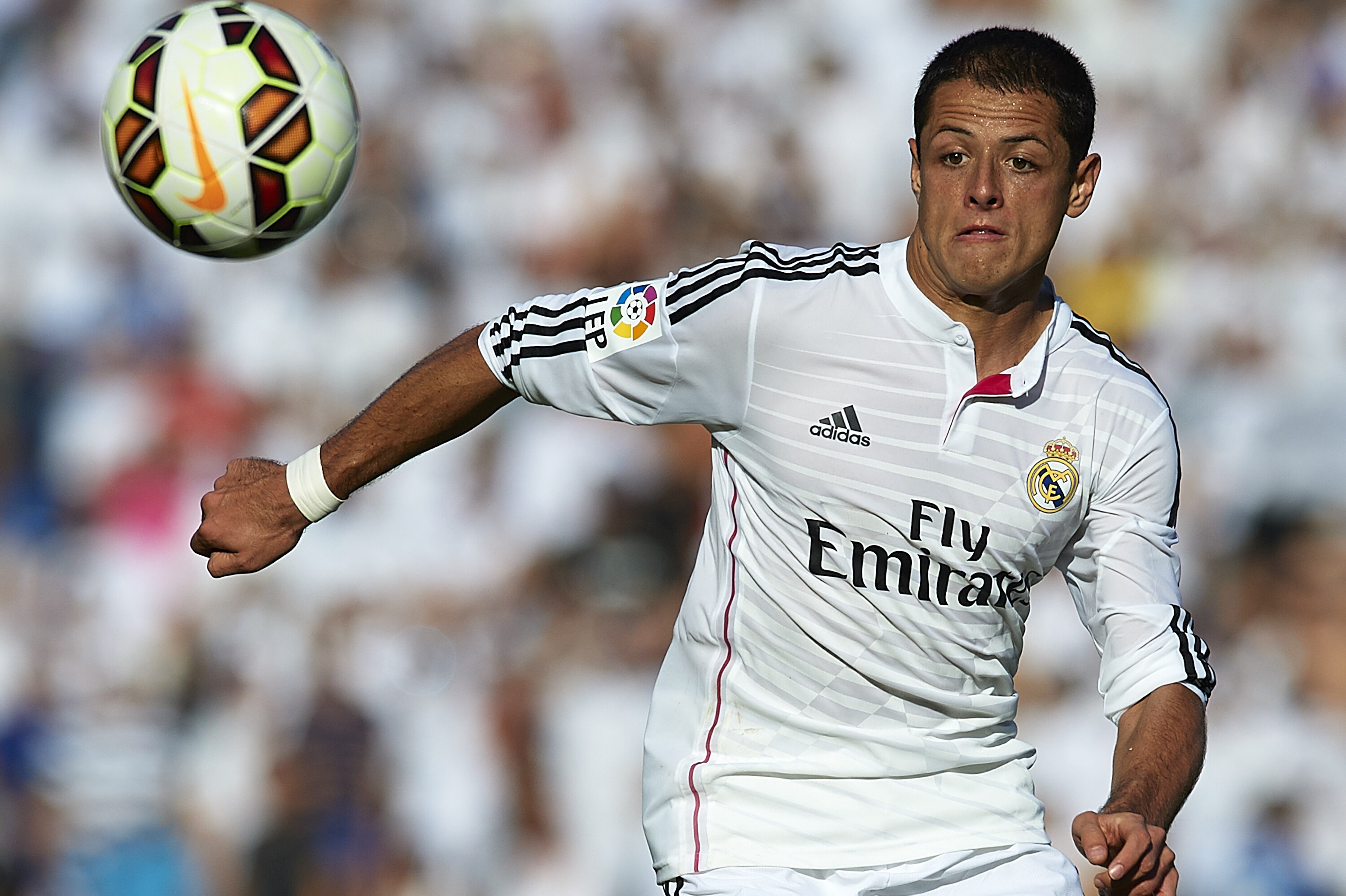 Javier hernandez real madrid store
