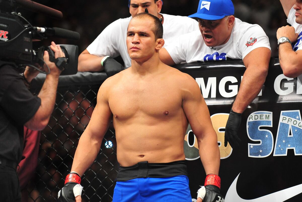 UFC 181 Results: 10 Burning Questions Heading into TUF20 Finale, UFC on ...