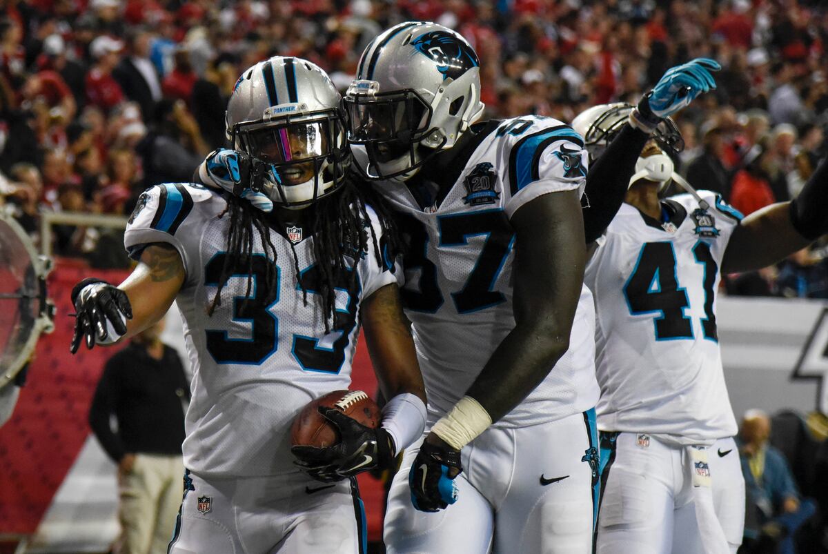 Carolina Panthers 2014 Regular Season in Review: The Successful Failure ...