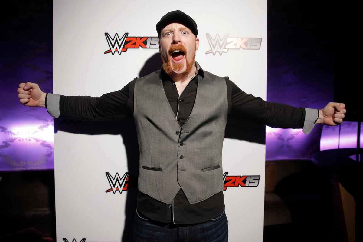 Sheamus Returns to WWE Raw and Attacks Daniel Bryan, Dolph Ziggler ...