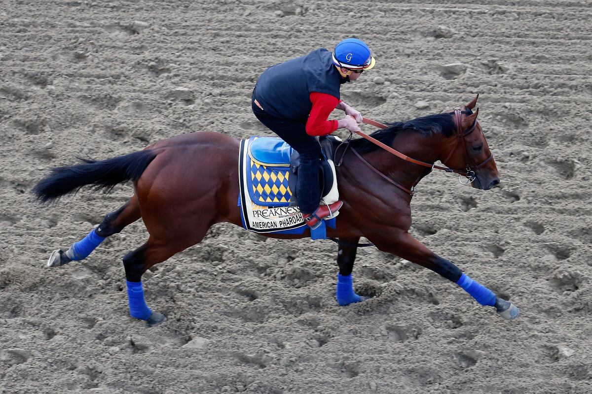 Preakness 2015 Lineup: Final Field Odds and Predictions for All Entries ...