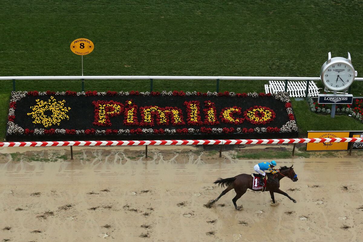 Preakness 2015: Video Highlights, Payouts and Pimlico Race Results ...