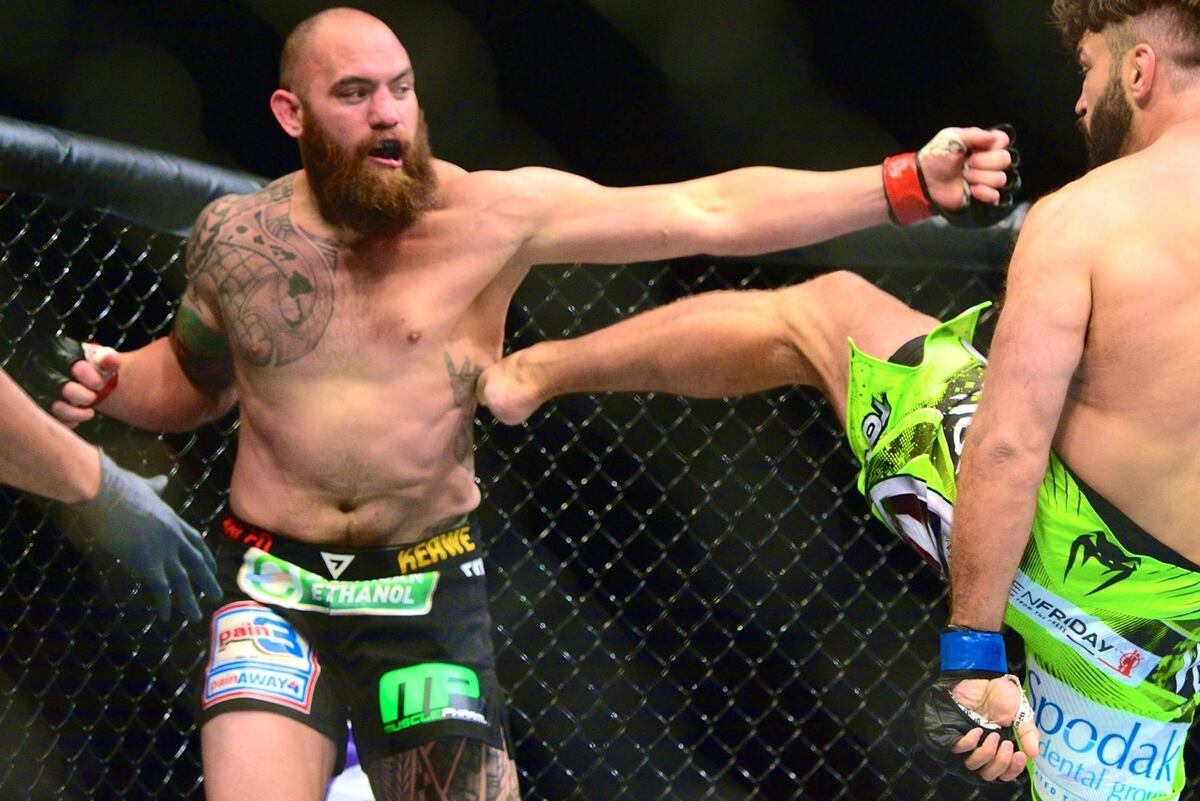 UFC 187 Results: 3 Fights for Travis Browne to Take Next | News, Scores ...