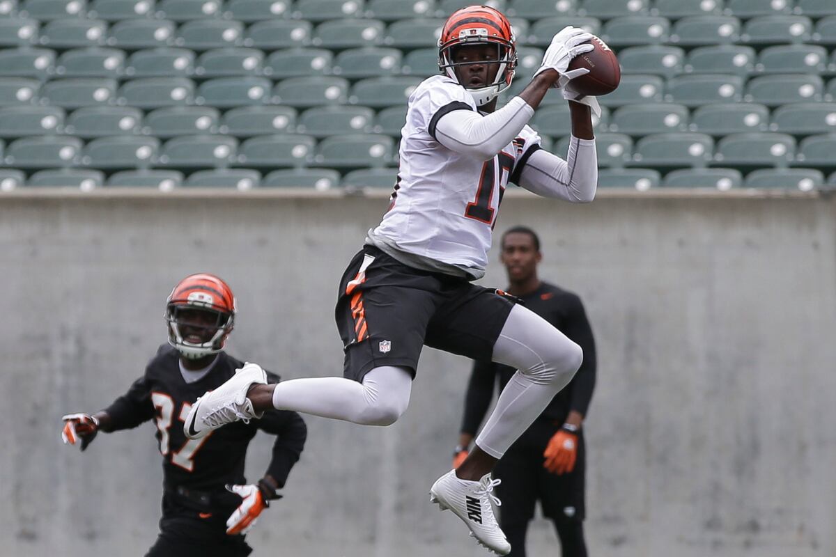 Bengals: Full Position Breakdown and Depth Chart Analysis at Wide ...