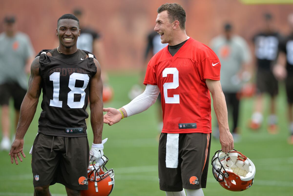 Odds Stacked Against WR Taylor Gabriel for a 2015 Breakout Campaign ...