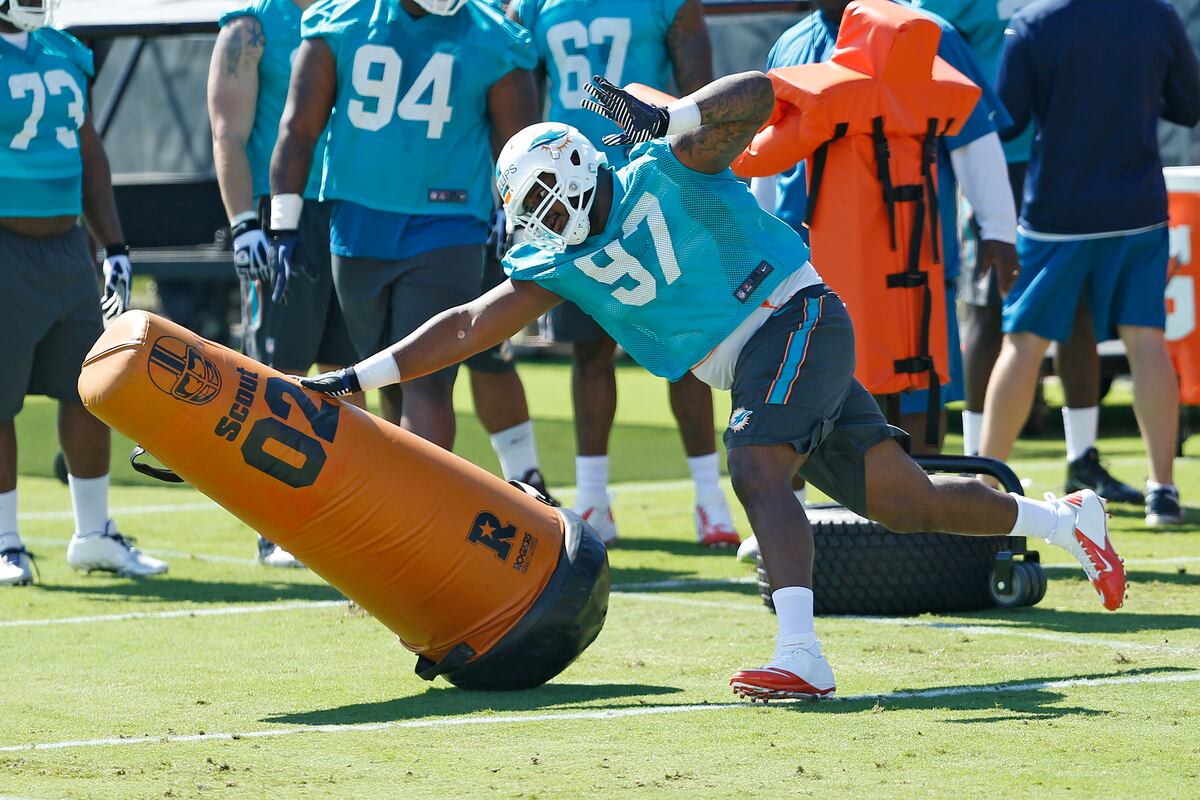 What Are Reasonable Rookie Expectations for Miami Dolphins DT Jordan ...