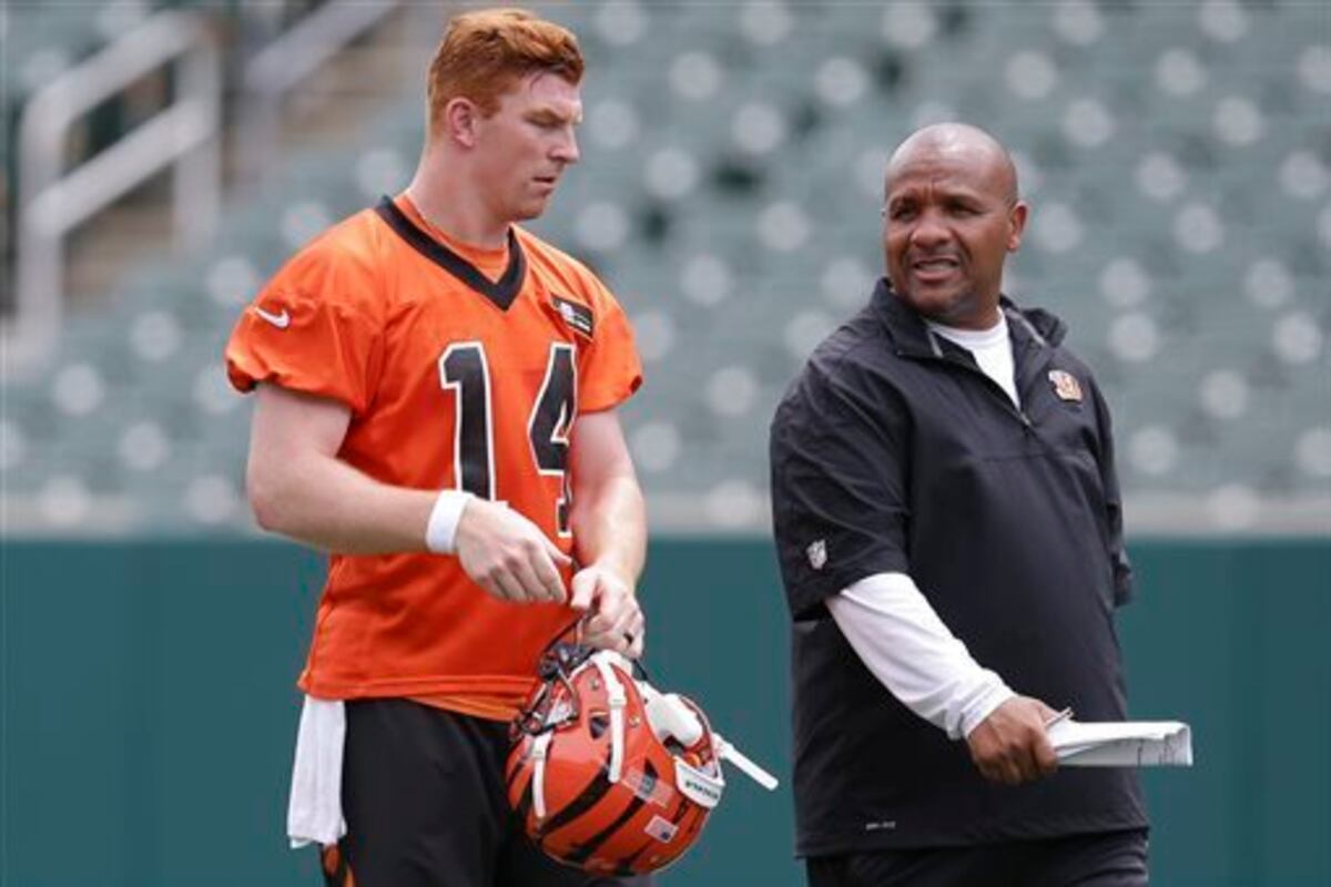 Complete Cincinnati Bengals Training Camp Preview | News, Scores ...
