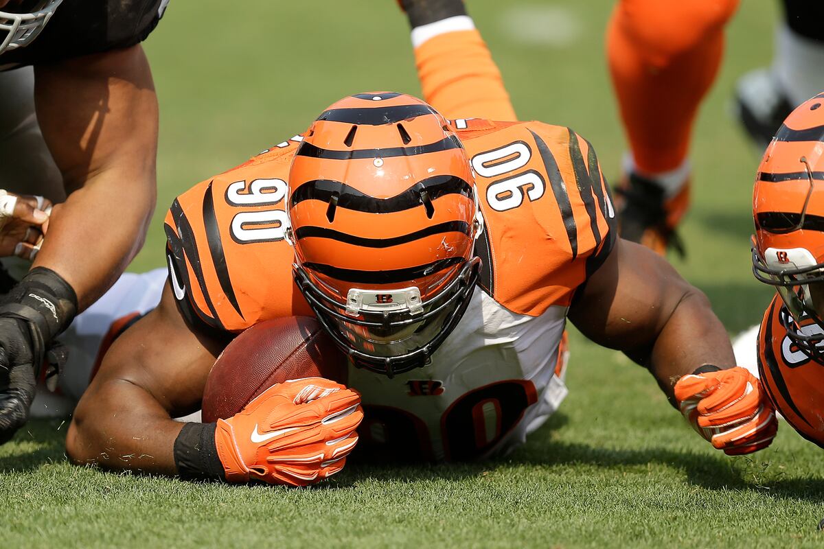 Michael Johnson Injury: Updates on Bengals DE's Back and Return | News ...